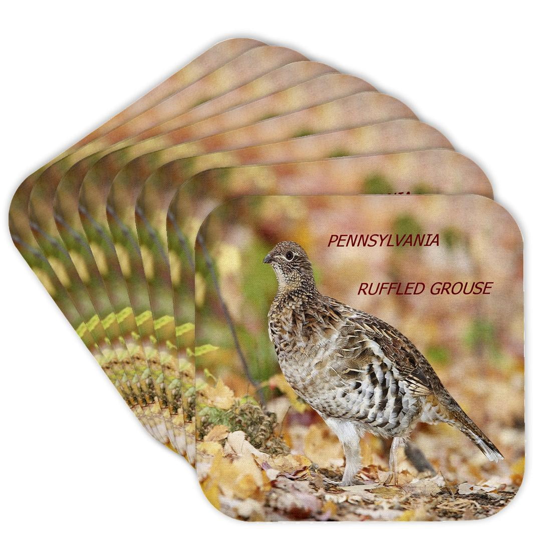 3drose, Pennsylvania State Bird Ruffled Grouse, Set of 8 Coasters ...
