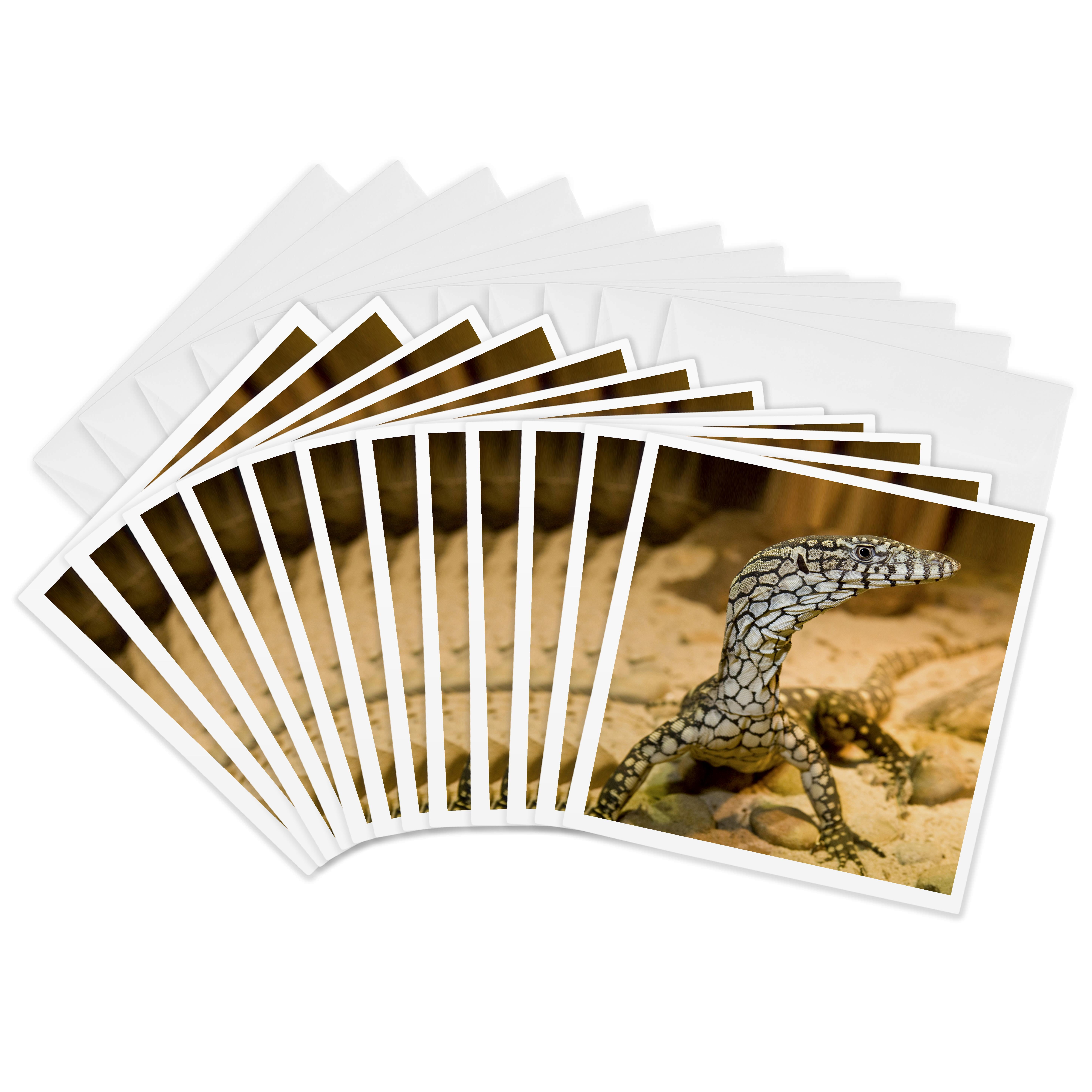 3drose, Perentie Monitor Lizard, Central Australia - Na02 Dno0698 ...