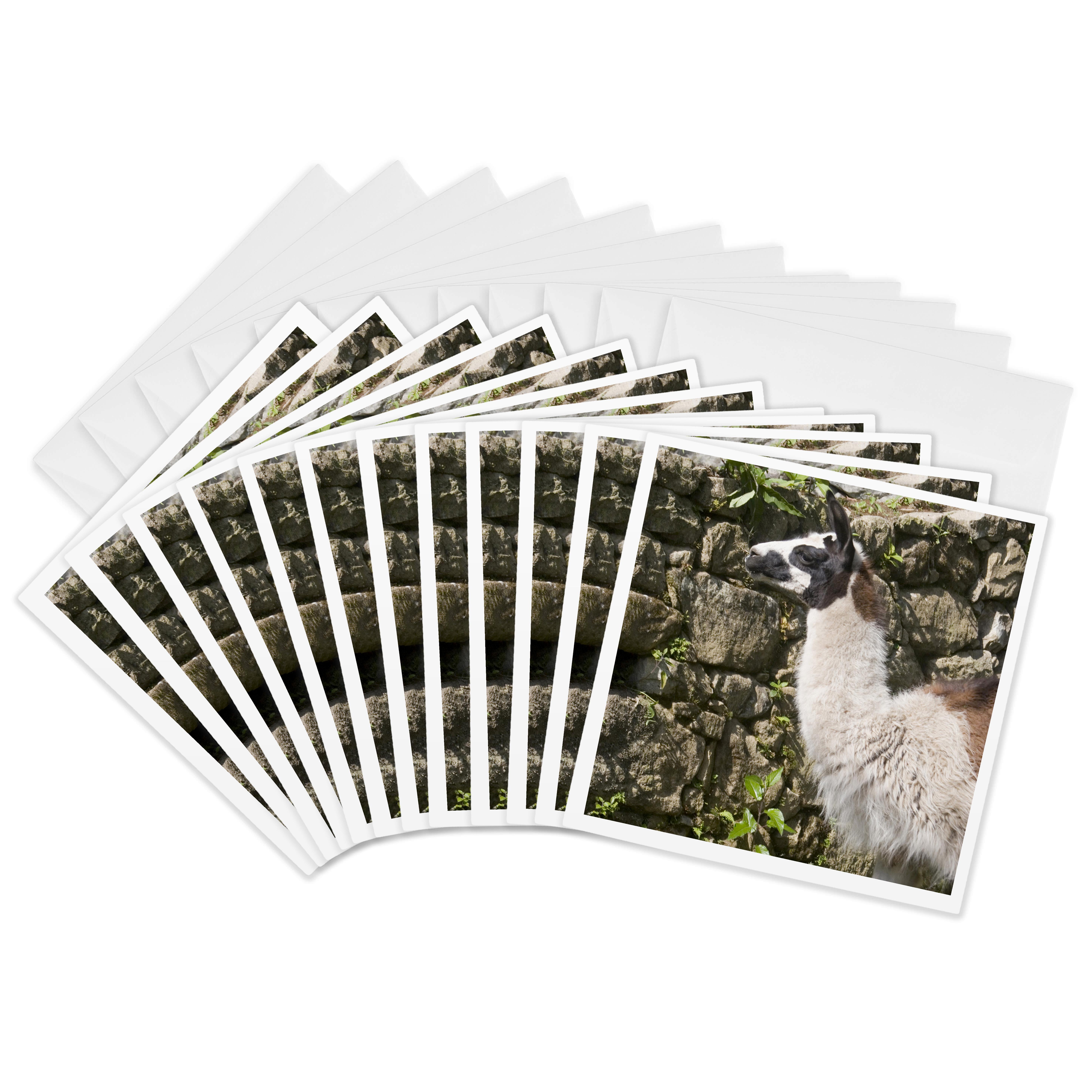 3drose, Peru, Llama Along the Inca Trail at Machu Picchu - Sa17 Djo0159 ...