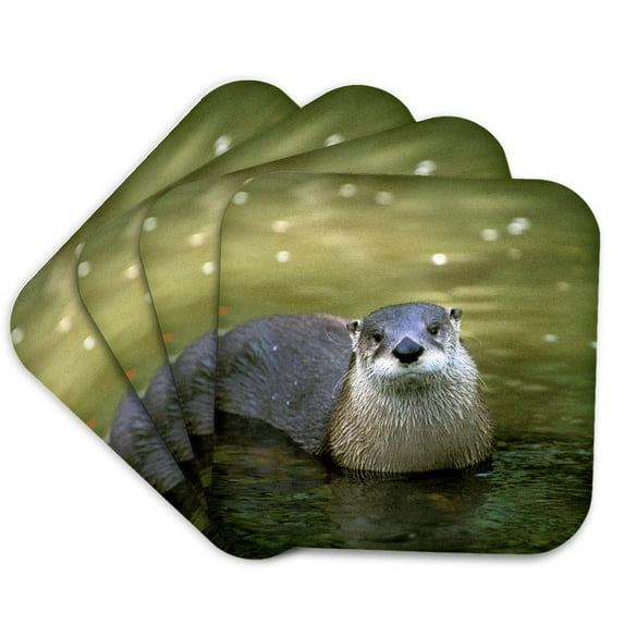 3drose, Peru, Manu River Region. Giant River Otter Wildlife - Sa17 ...