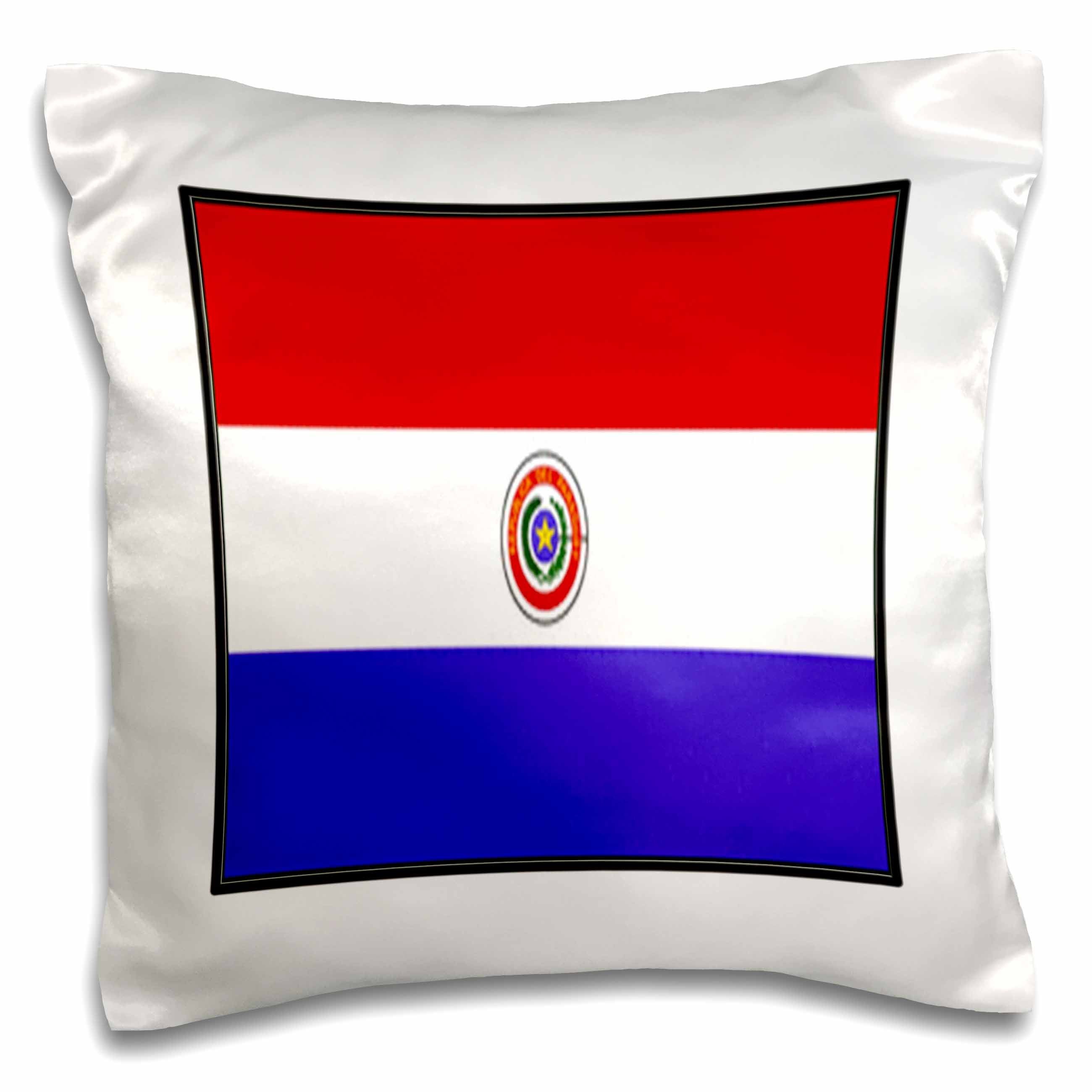 3drose, Photo of Paraguay Flag Button, 16x16 inch Pillow Case - Walmart.com