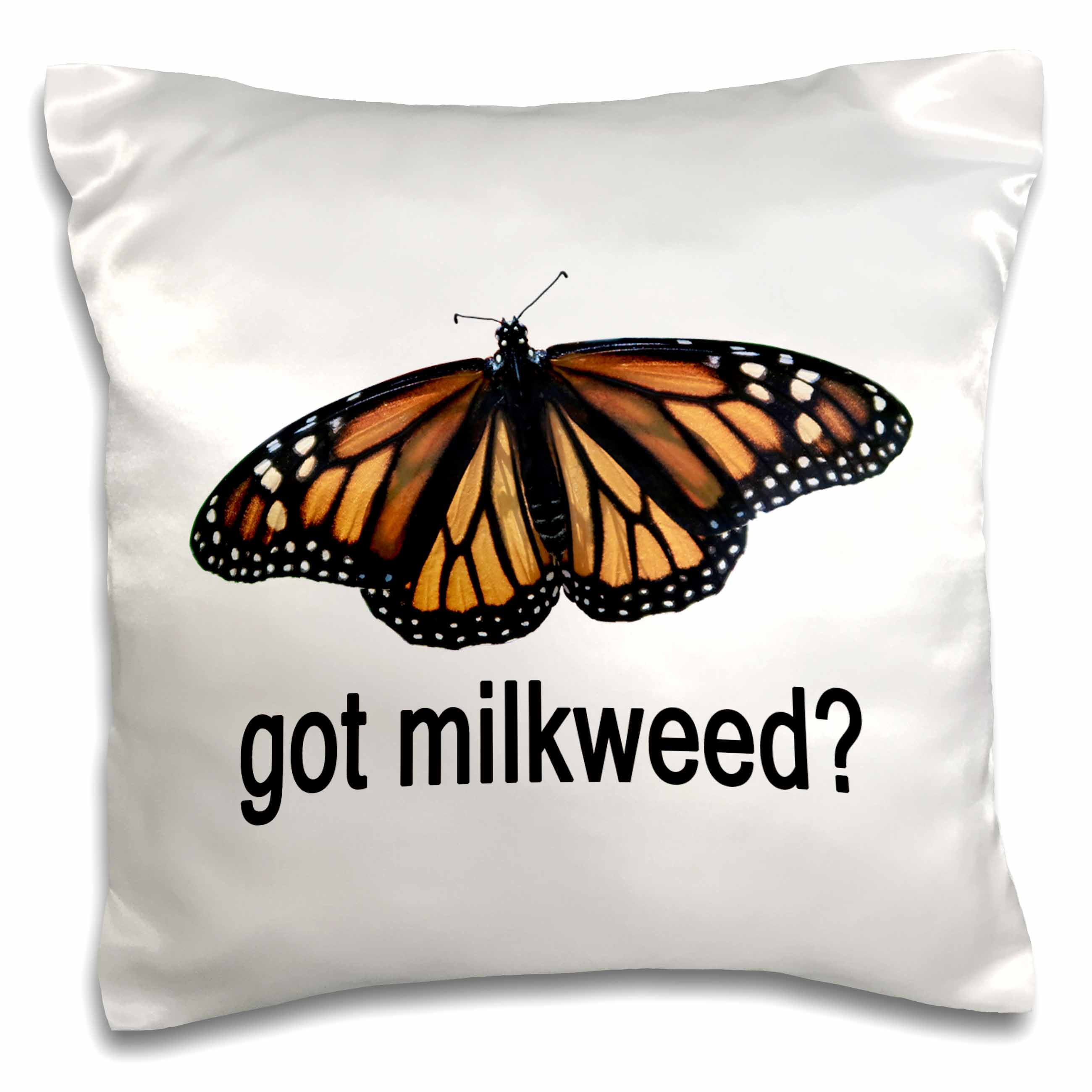 3drose, Photo of a Monarch Butterfly with Got Milkweed on White ...