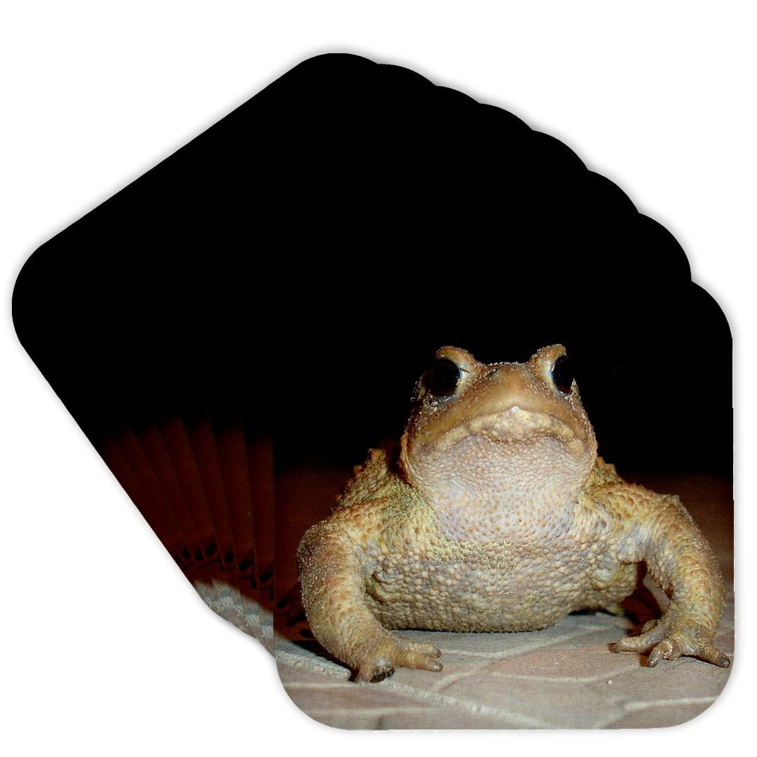 3drose, Photograph of a Warty Skinned Sandy Colored Common Toad, Set of ...
