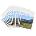 3drose, Pine Valley Utah Scenery with Rabbit Brush and Trees, 12 ...