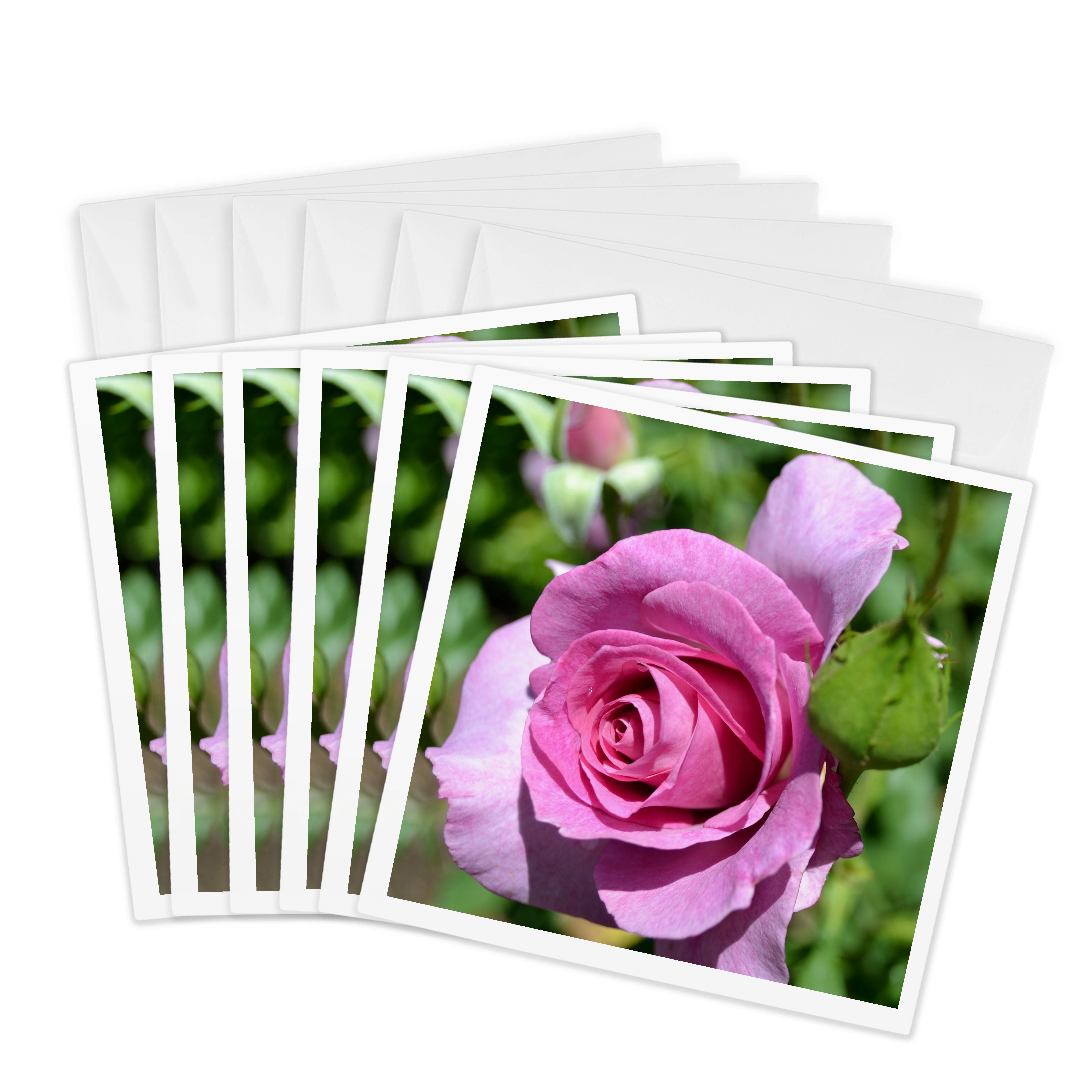 3drose, Pink Rose Iii, 6 Greeting Cards with Envelopes - Walmart.com