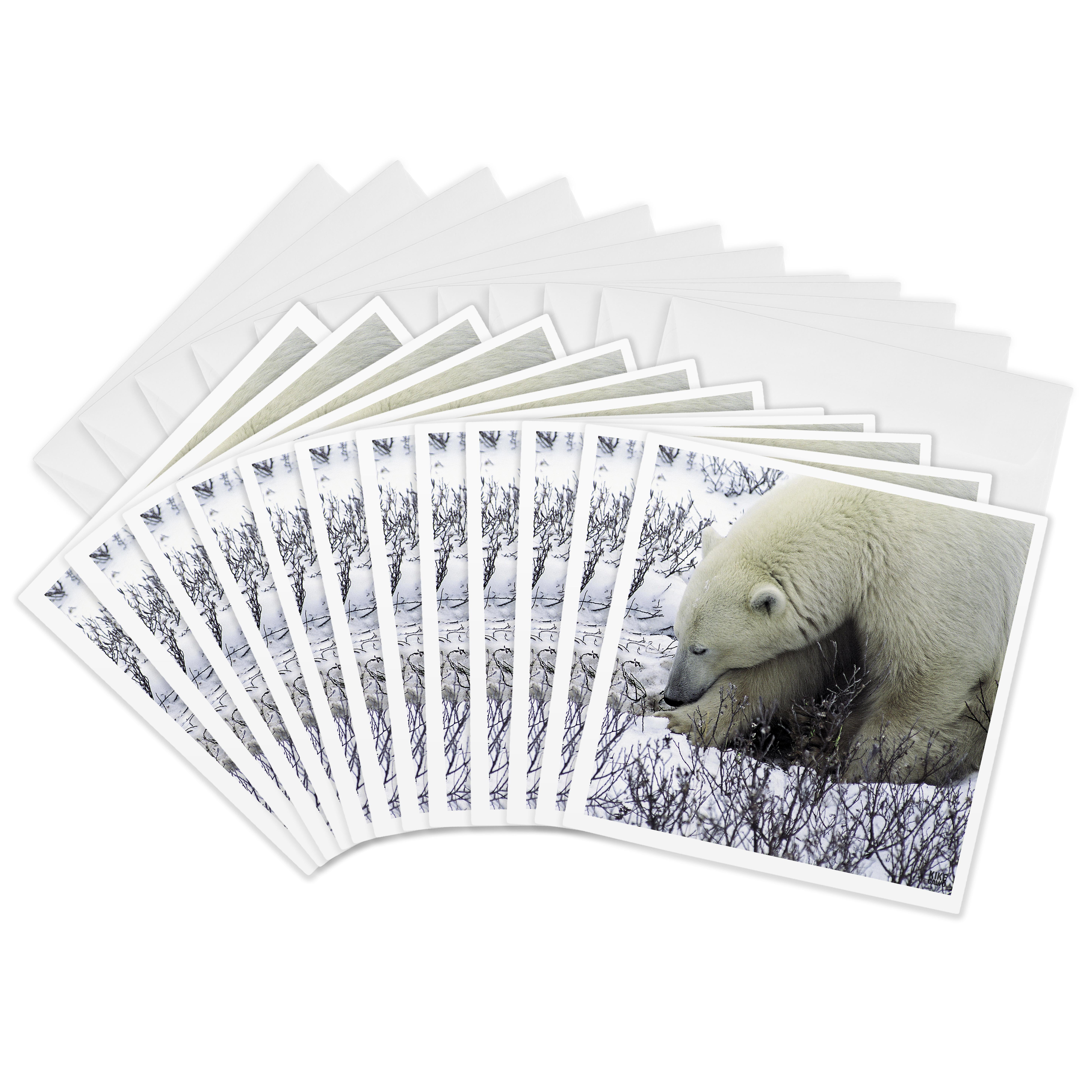 3drose, Polar Bears, 12 Greeting Cards with Envelopes - Walmart.com