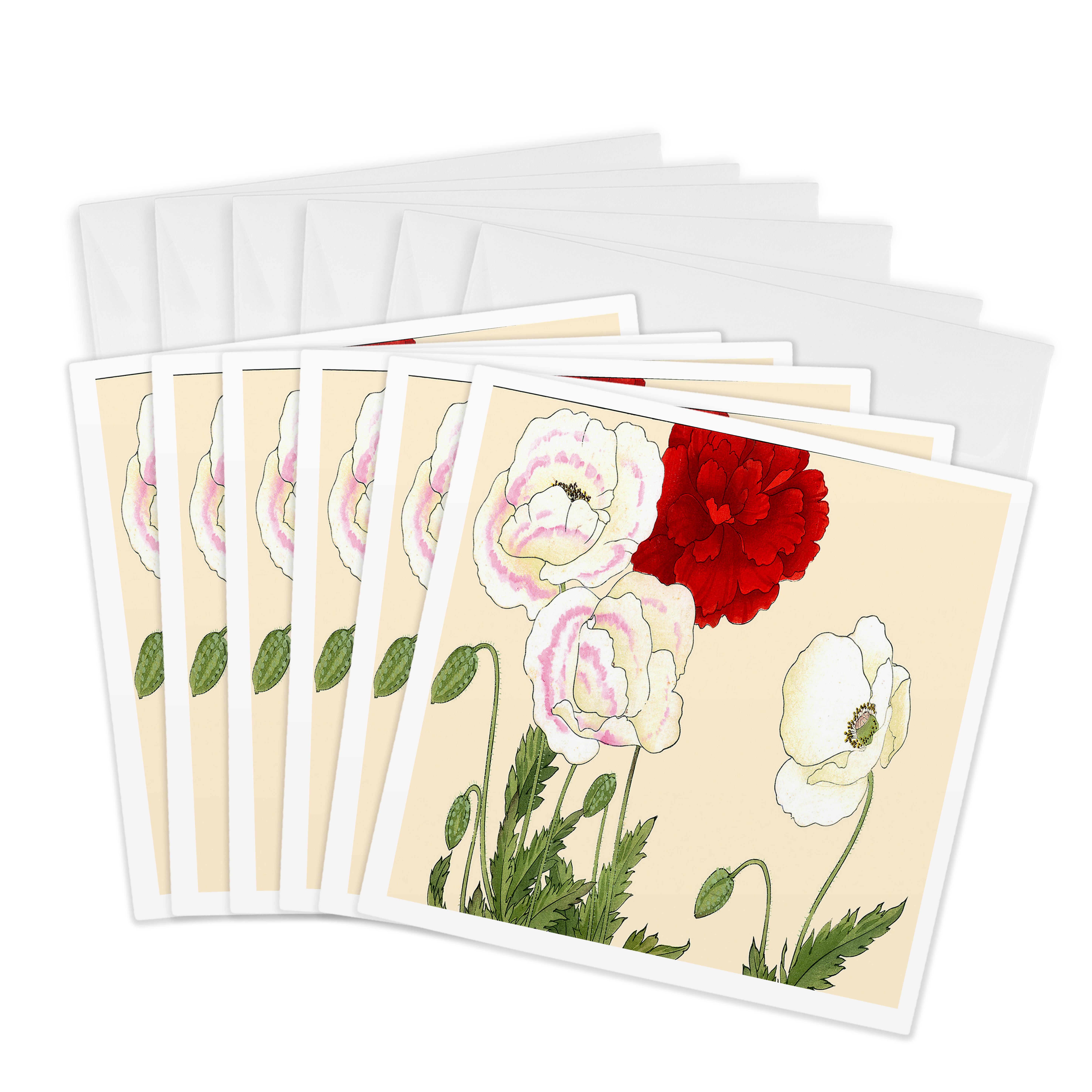 3drose, Poppy, Large Showy Flowers in Red and White with Touches of ...