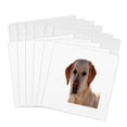 3drose, Portrait of a Golden Labrador Dog Vector Art, 6 Greeting Cards ...