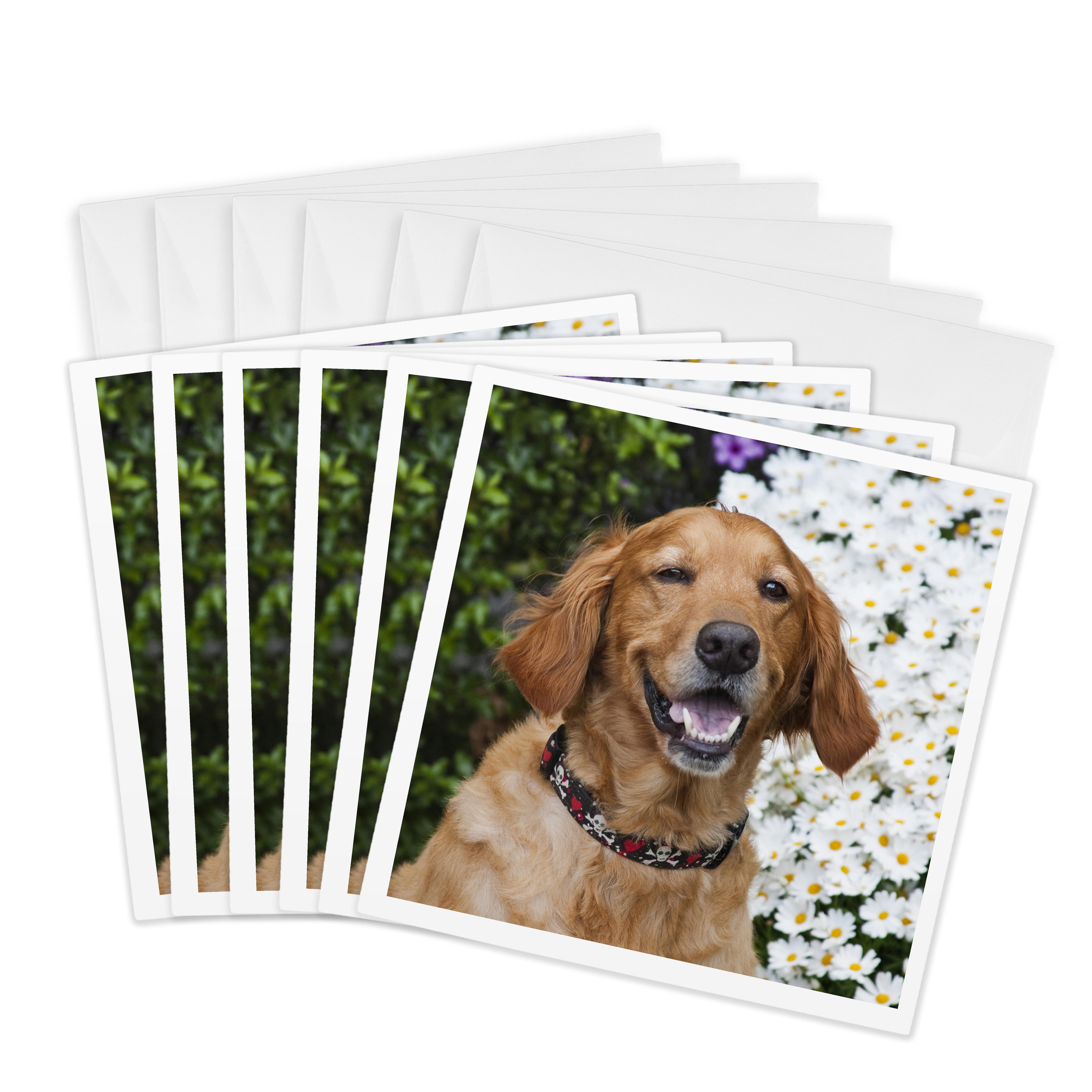 3drose, Portrait of a Happy Golden Retriever Dog - Na02 Zmu0158 ...