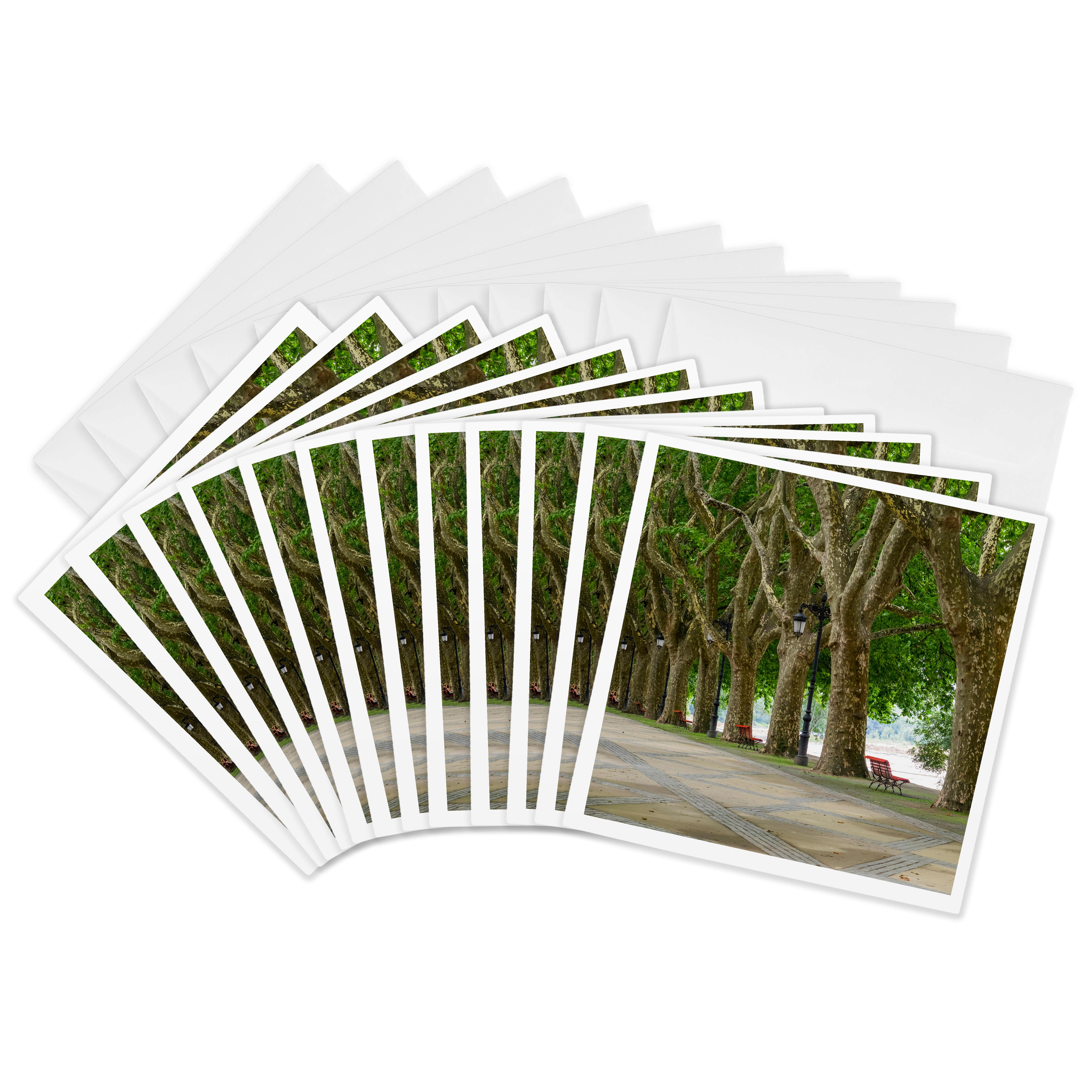 3drose, Portugal, Ponte De Lima. Tree-lined Walkway Along the Lima ...