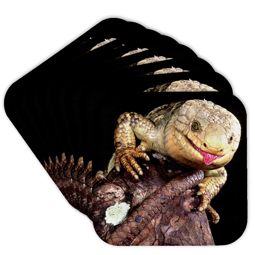3drose, Prehensile-tailed Skink Lizard - Na02 Dno0294 - David Northcott ...