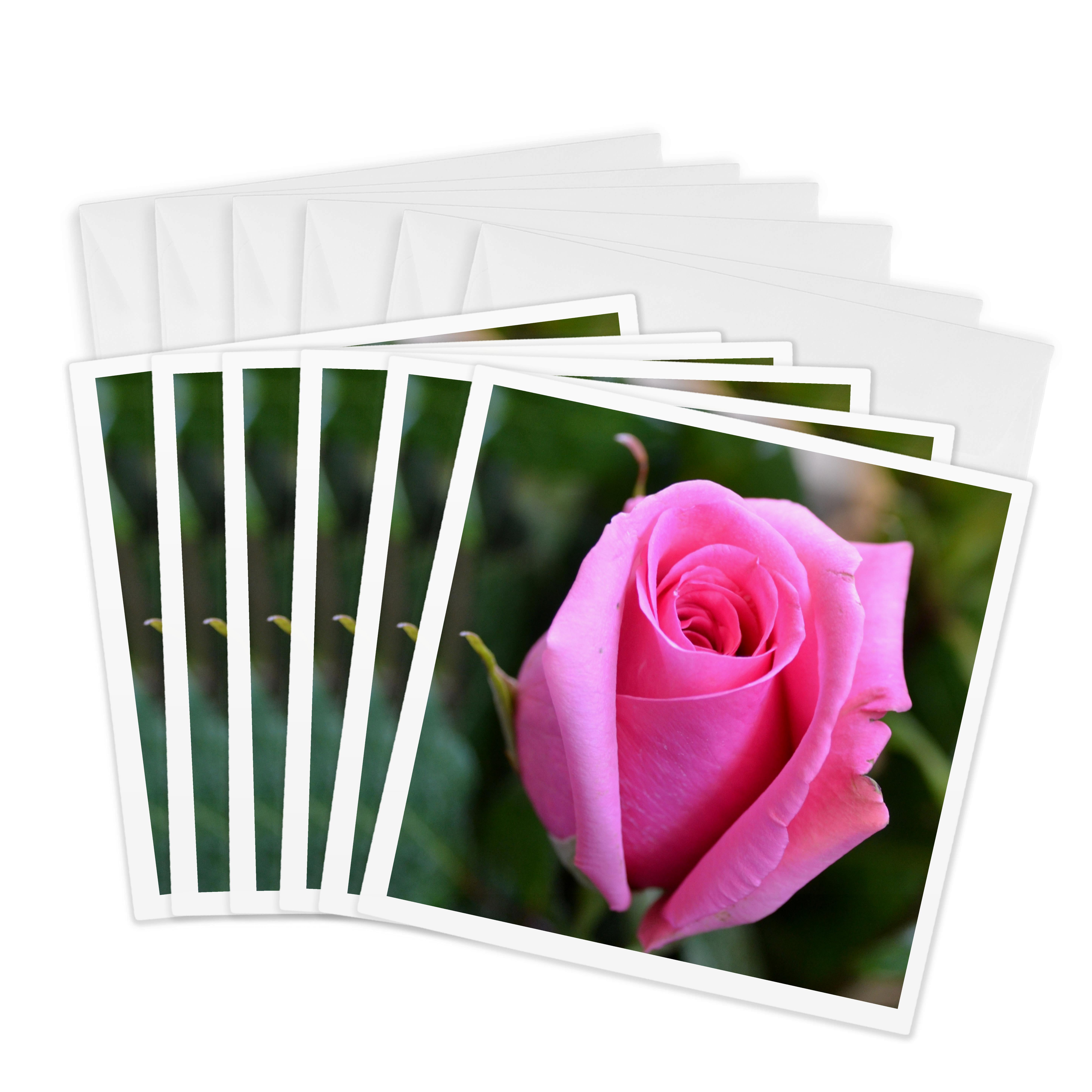 3drose, Pretty Pink Rose Floral, 6 Greeting Cards with Envelopes ...