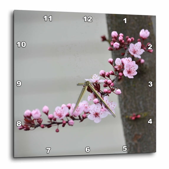 3drose, Pretty Spring Flowers- Pink Cherry Blossom- Photography, 15x15 ...