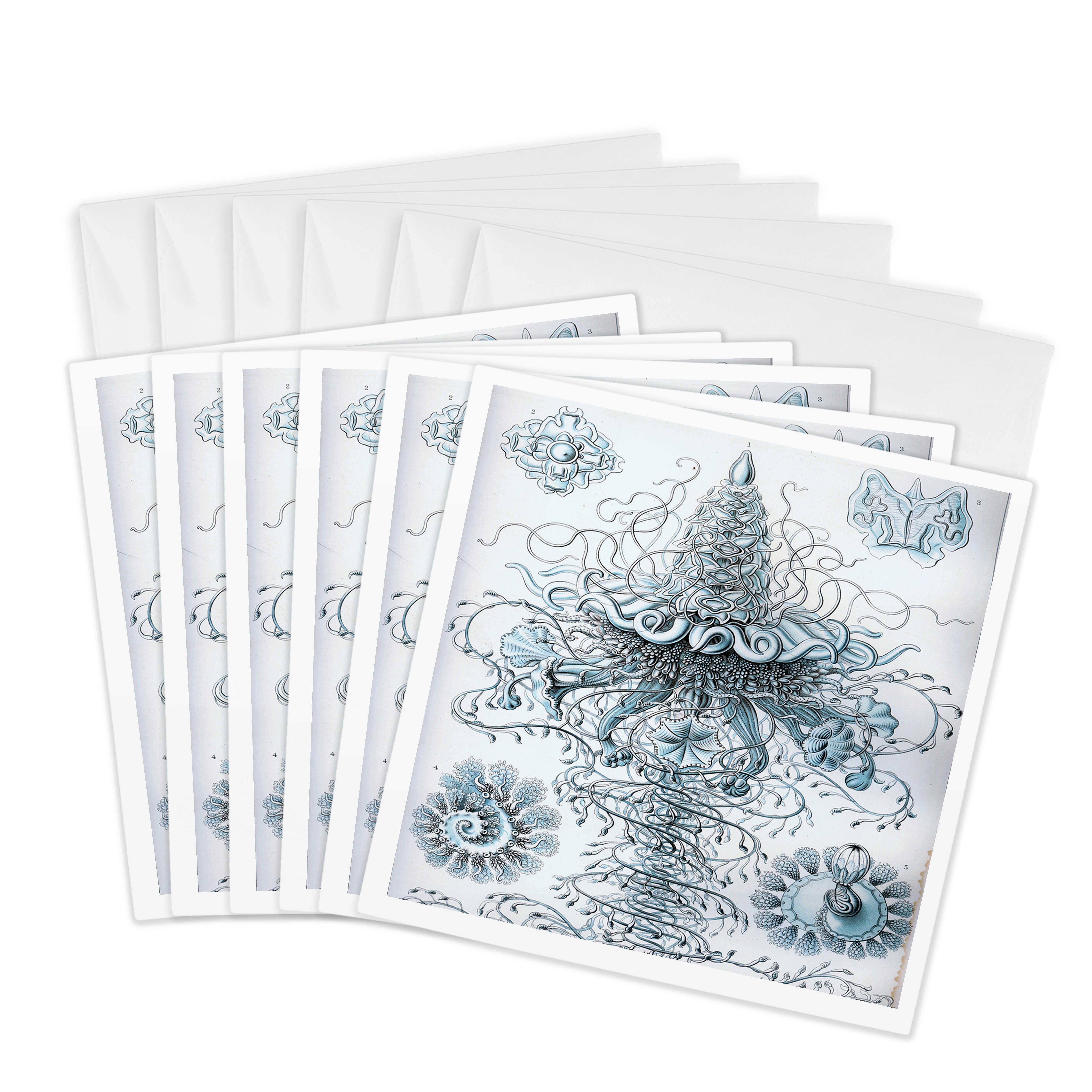 3drose, Print of Delicate Blue Sealife, 6 Greeting Cards with Envelopes ...