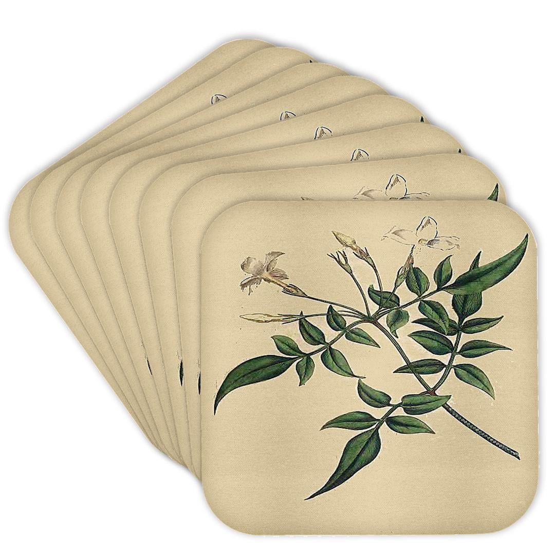 3drose, Print of Jasmine Plant from 1700, Set of 8 Coasters - Cork ...