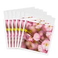 3drose, Prunus Triloba - Elegant Flowers on a Small Twig, Pink ...