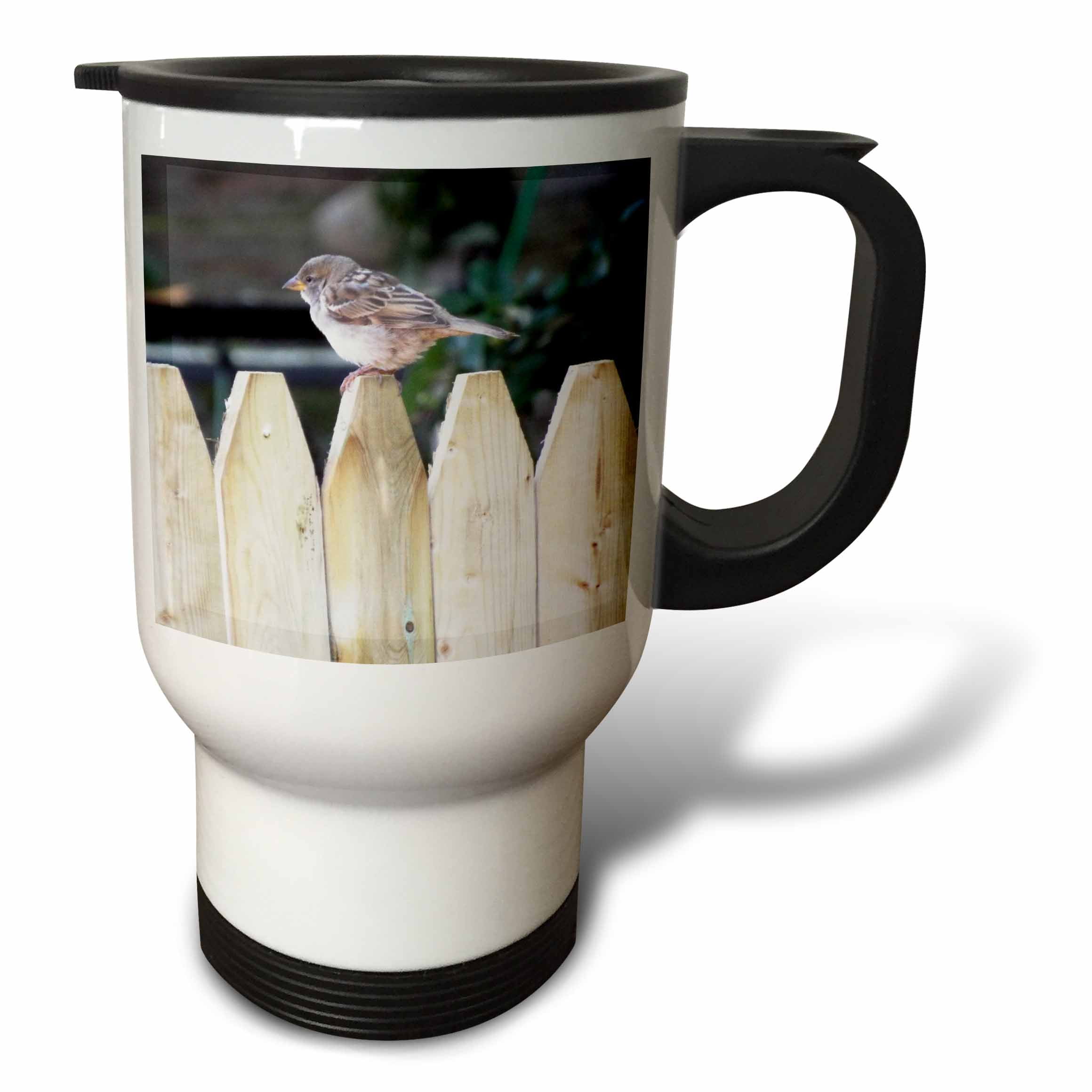 3drose, Puffy Sparrow on Picket Fence, 14oz Stainless Steel Travel Mug ...