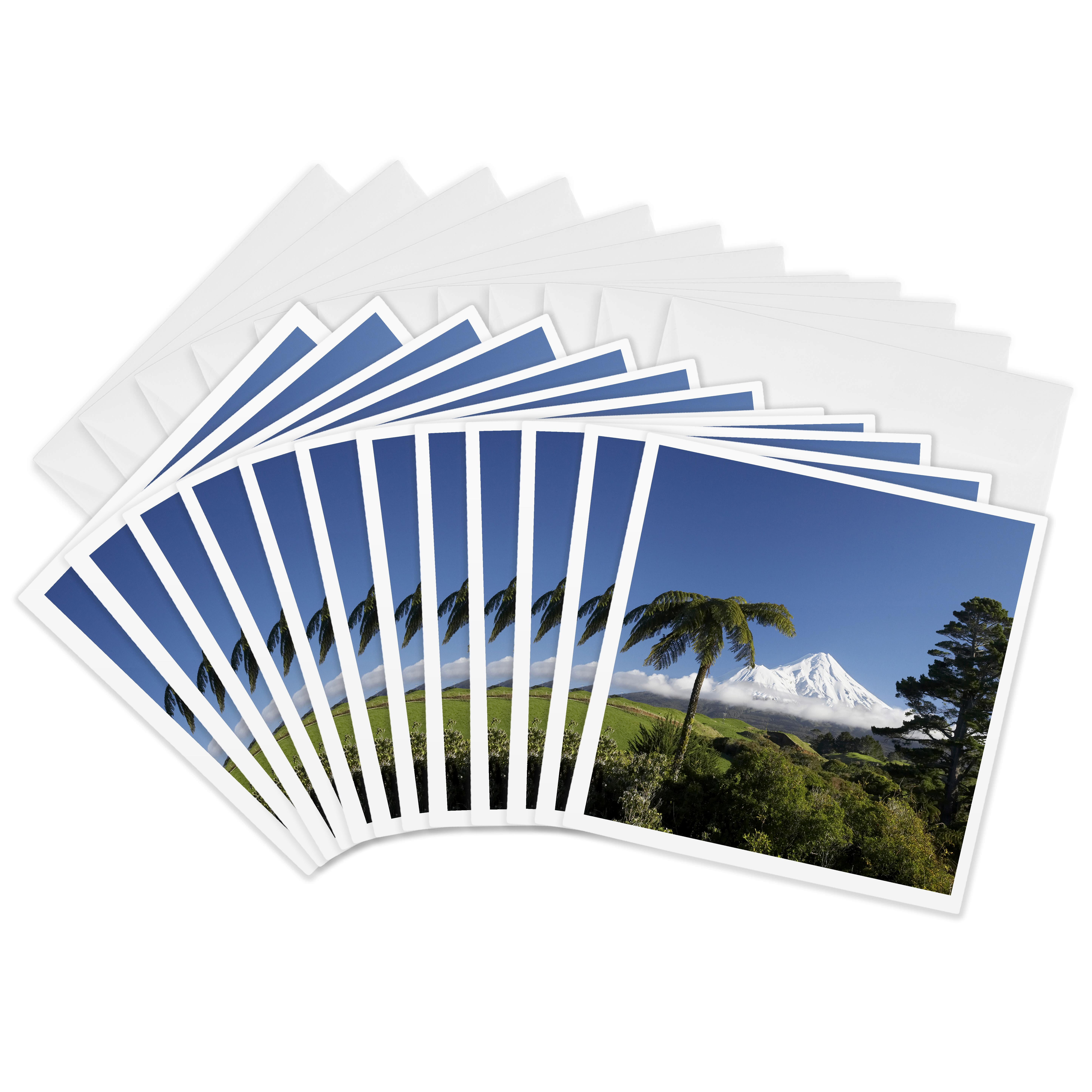 3drose, Punga, Taranaki Mountain, North Island, New Zealand-au02 ...