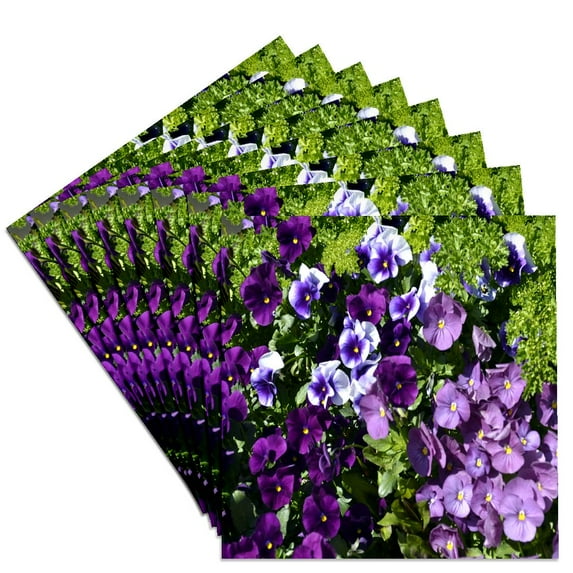 3drose, Purple Pansies Spread of Purple Flowers, Set of 8 Ceramic Tile ...