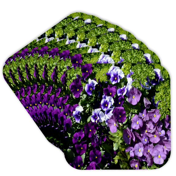 3drose, Purple Pansies Spread of Purple Flowers, Set of 8 Coasters ...