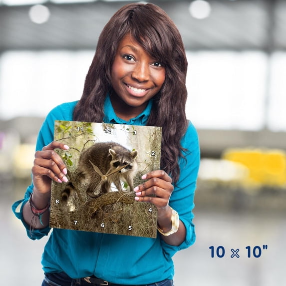 3drose, Raccoon, Florida, Usa, 10x10 Wall Clock - Walmart.com