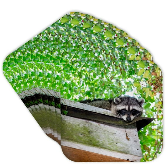 3drose, Raccoon on the Roof, Set of 8 Coasters - Soft - Walmart.com