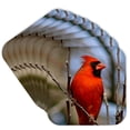 3drose, Red Cardinal Digital Painting, Set of 8 Coasters - Cork ...