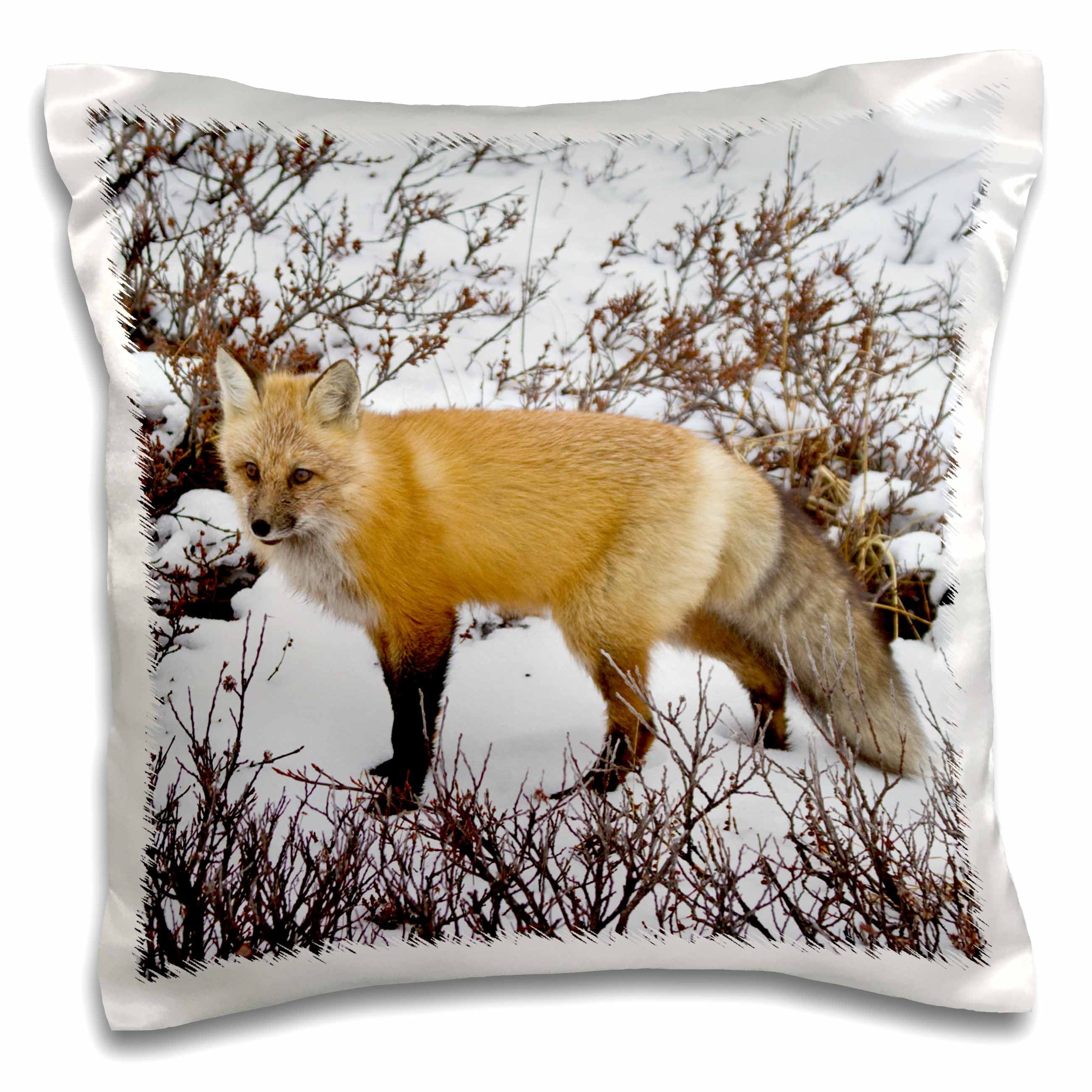 3drose, Red Fox in Winter, Churchill Wildlife Area, Churchill, Mb ...