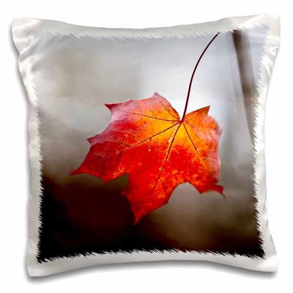 3drose, Red Maple Leaf, Gray Background, 16x16 inch Pillow Case ...