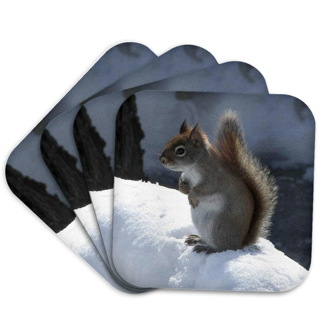 3drose, Red Squirrel in the Snow, Set of 4 Coasters - Cork - Walmart.com
