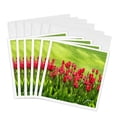 3drose, Red Tulips Field, 6 Greeting Cards with Envelopes - Walmart.com