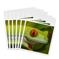 3drose, Red-eyed Tree Frog Resting on Yellow Bromeliad Flower Plant, 6 ...