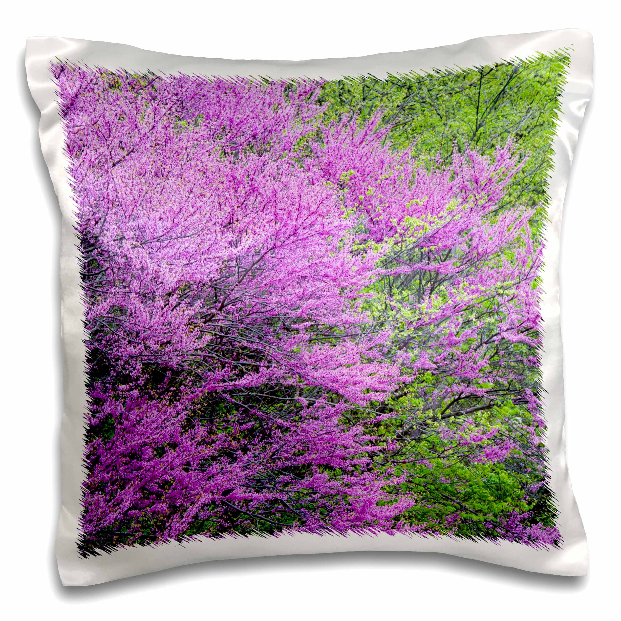 3drose, Redbud Trees in Full Spring Bloom Near Defiance Ohio - Us36 ...