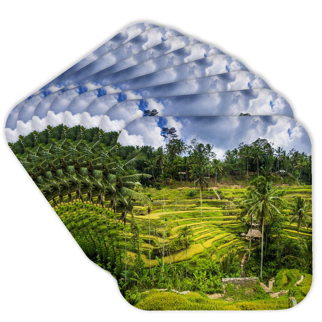 3drose, Rice Fields at Tegallalang Rice Terrace, Bali, Indonesia, Set ...