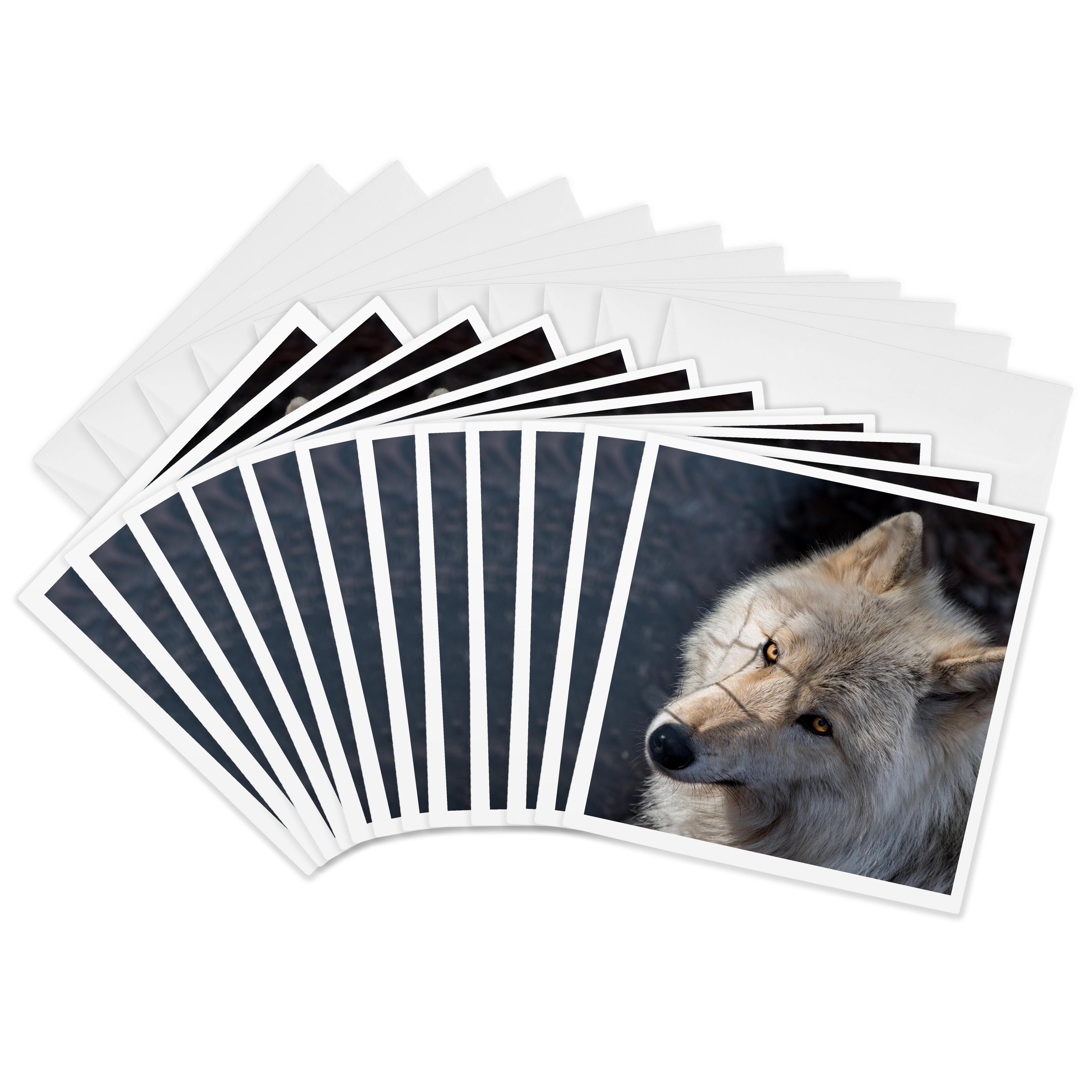 3drose, Rocky Mountain Grey Wolf, 12 Greeting Cards with Envelopes ...