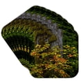 3drose, Rocky Mountain Maples and Ferns, Mount Rainier Nat Park, Wa ...