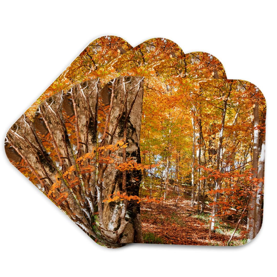 3drose, Romania, Transylvania, Brasov. Carpathian Mountains, Autumn ...