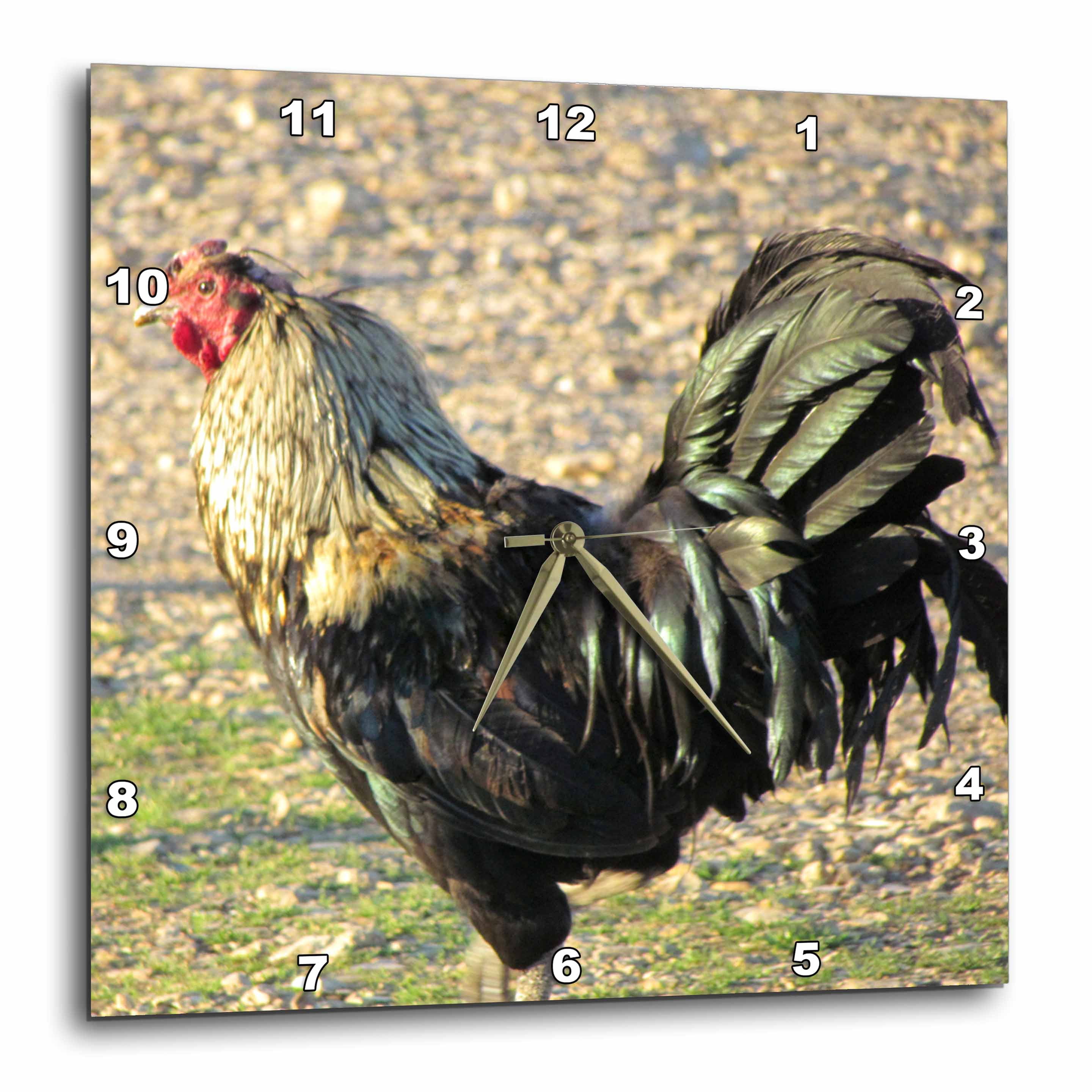 3drose, Rooster Green Colors, 10x10 Wall Clock - Walmart.com