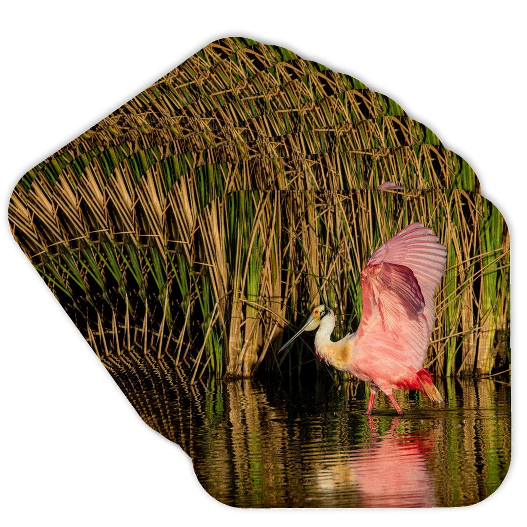3drose, Roseate Spoonbill, Ajaia Ajaja, Wading in Marsh, Set of 8 ...