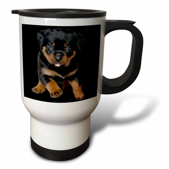 3drose, Rottweiler Portrait a Cute Puppy Running Towards You, Isolated ...