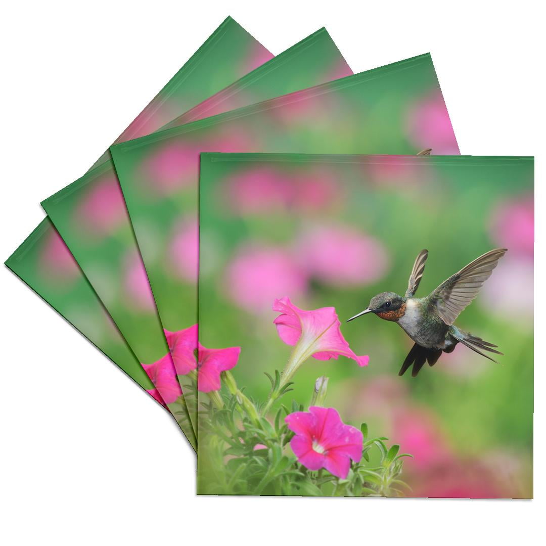 3drose, Ruby Throated Hummingbird Male at Petunia Flowers, Hill Country ...