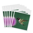 3drose, Ruby-throated Hummingbird, Welder Wildlife, Tx - Na02 Rnu0761 ...