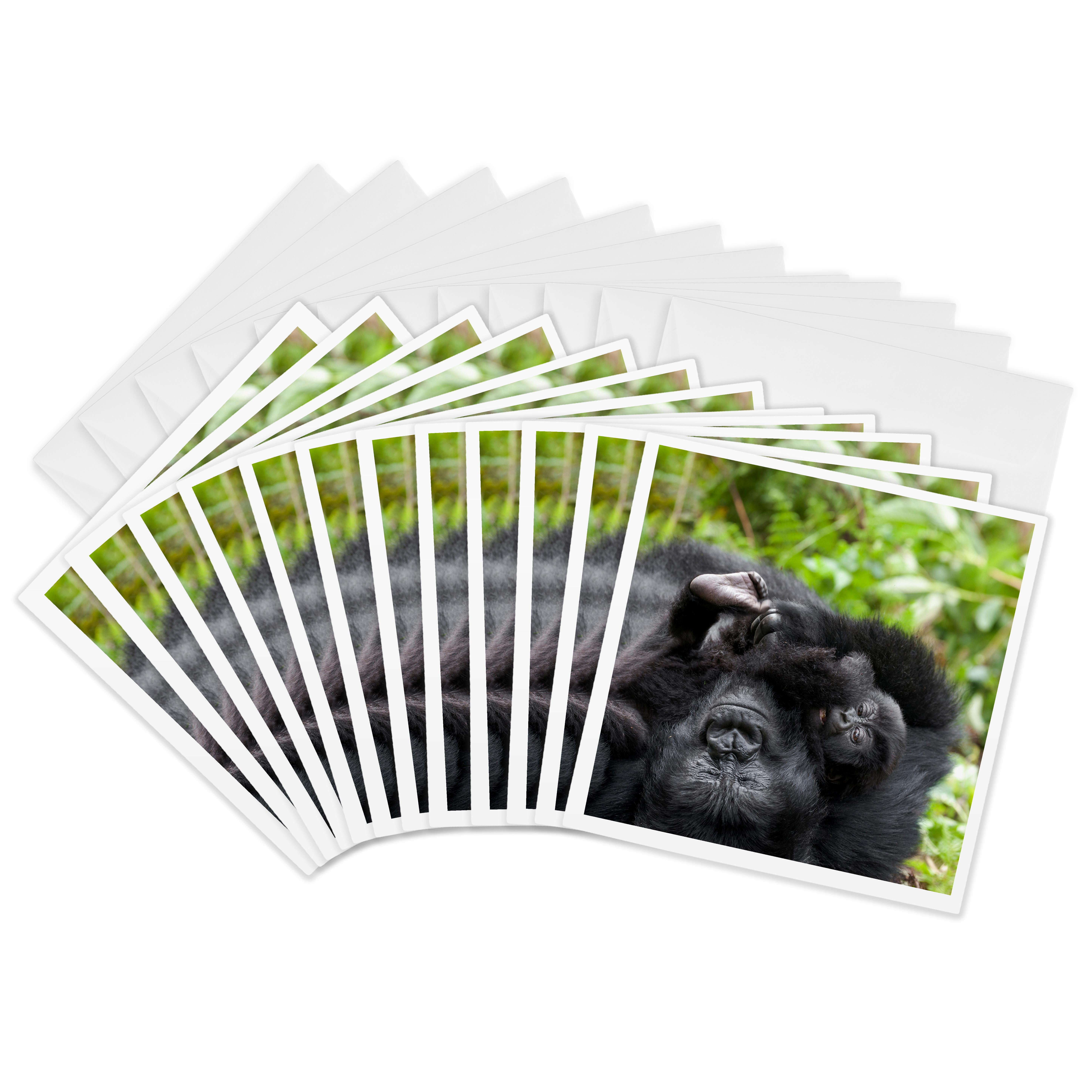 3drose, Rwanda, Volcanoes Np. Female Mountain Gorilla Cuddling Its ...