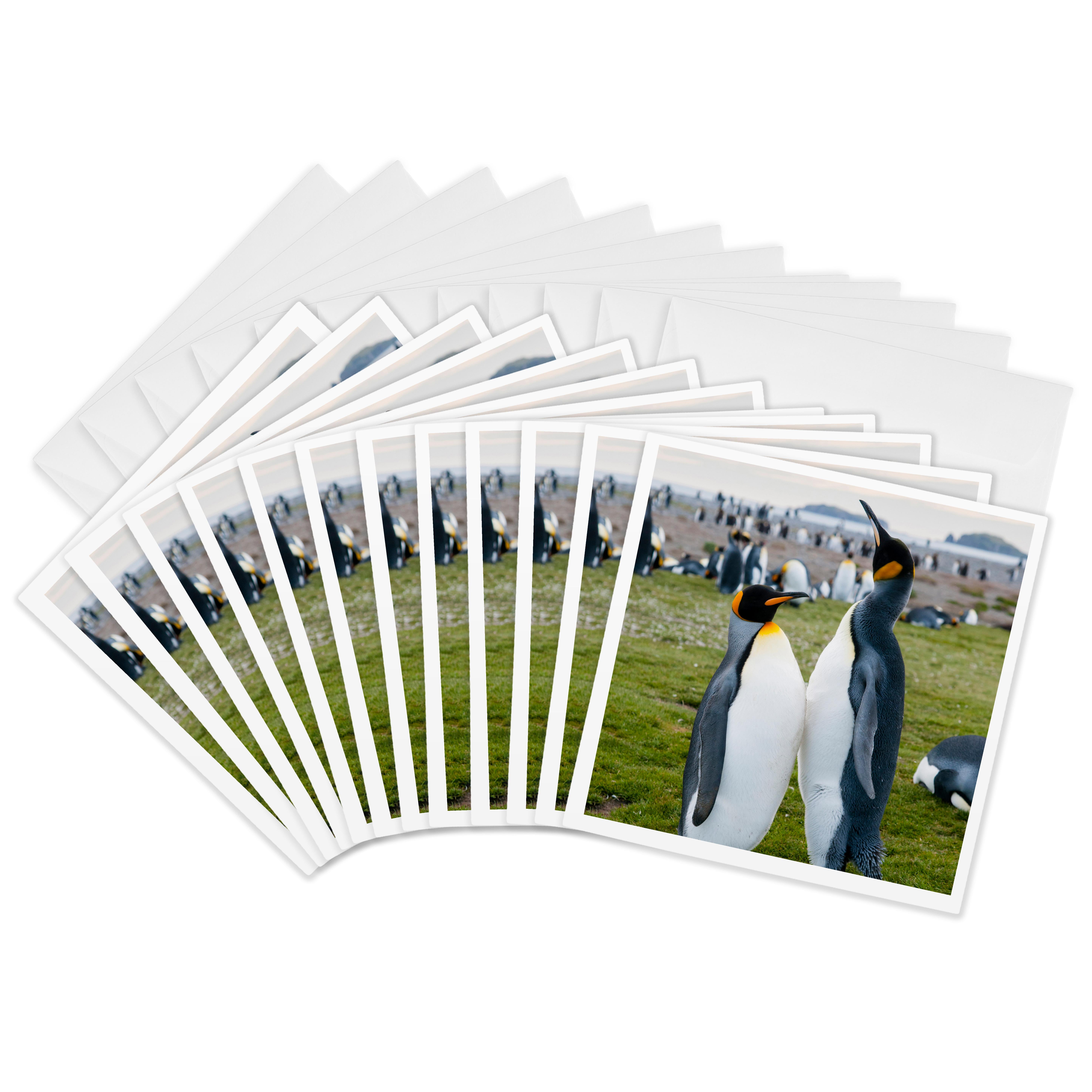 3drose, Salisbury Plain. King Penguins., 12 Greeting Cards with ...