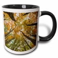 3drose, Sassafras Trees, Stephen Forbes State Park, Fall, Marion County ...
