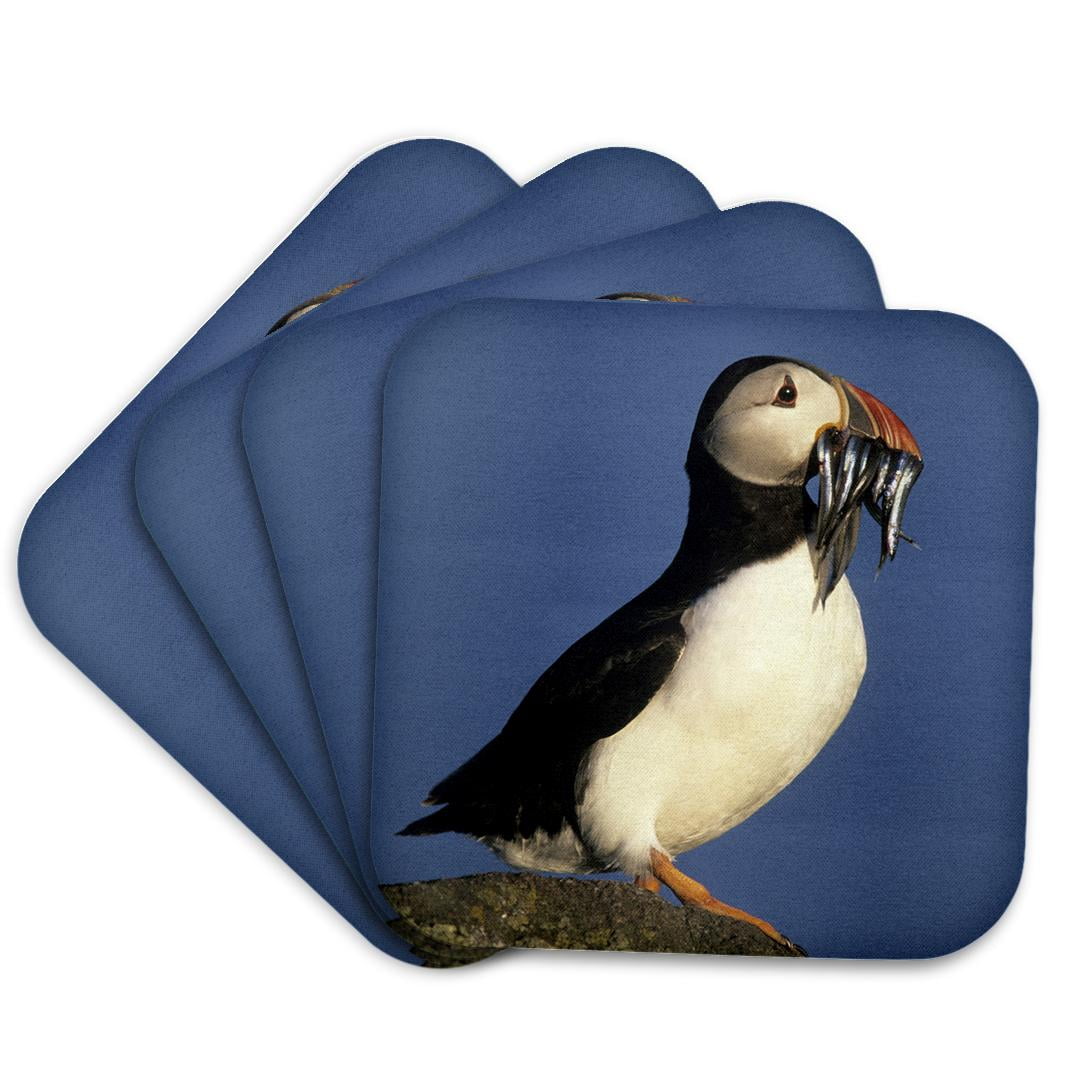 3drose, Scotland, Isle of May, Atlantic Puffin - Eu36 Ksc0006 - Kevin ...
