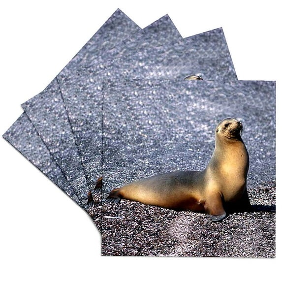 3drose, Sea Lion, Set of 4 Ceramic Tile Coasters - Walmart.com