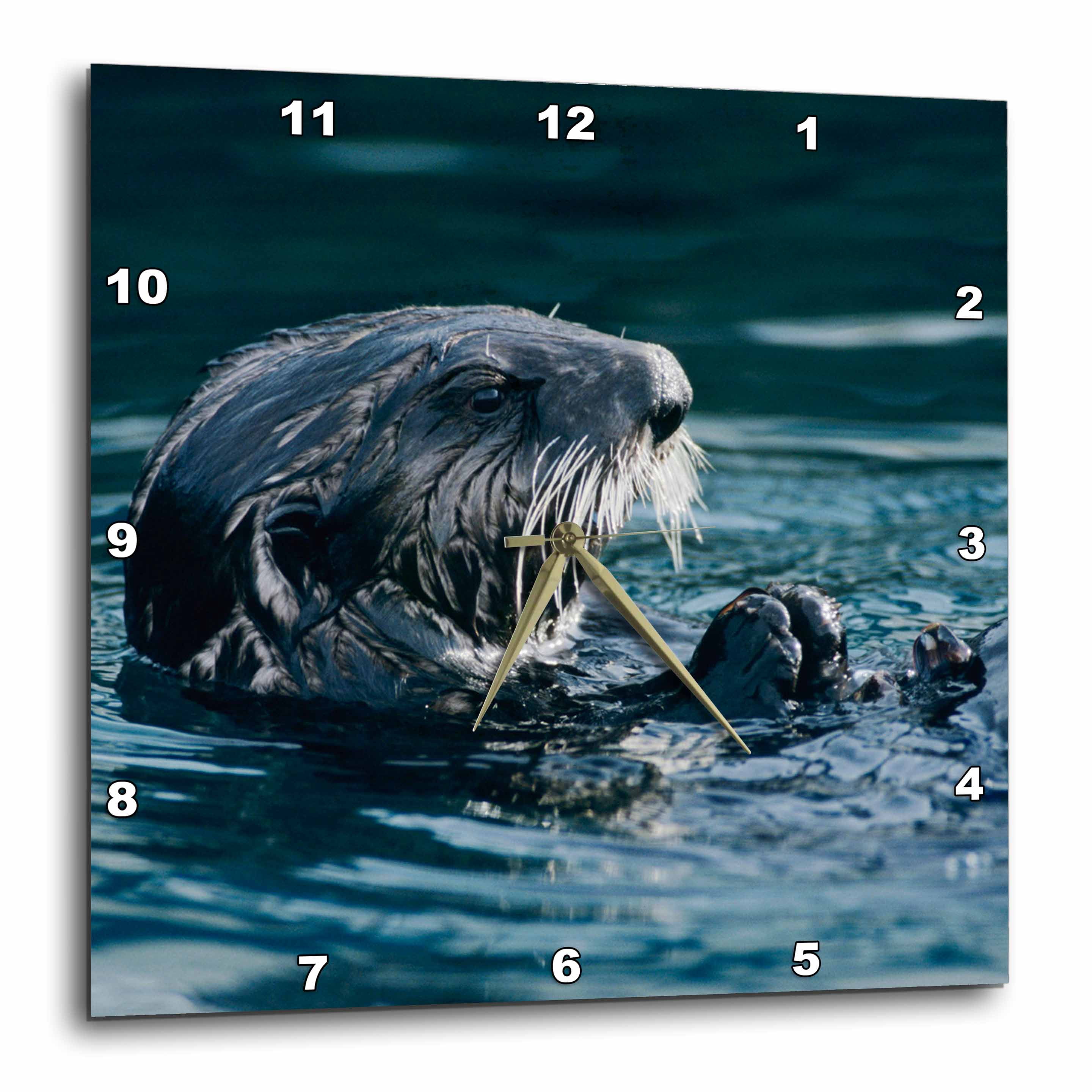 3drose, Sea Otter Wildlife, Shells, Seward, Alaska - Na02 Rnu0780 ...
