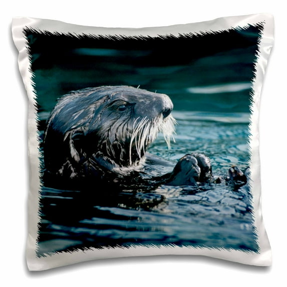 3drose, Sea Otter Wildlife, Shells, Seward, Alaska - Na02 Rnu0780 ...