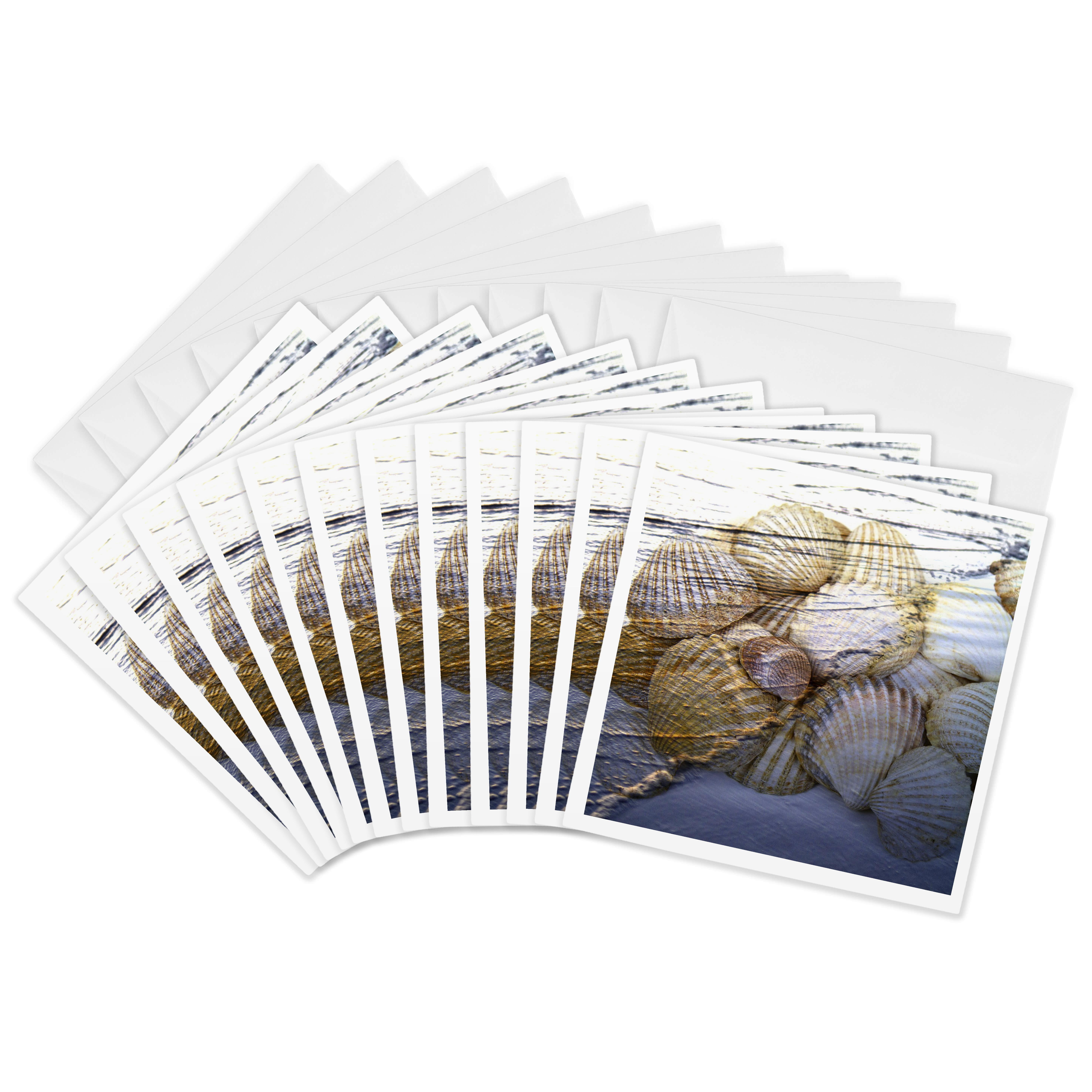 3drose, Shells at the Shore - Ocean - Beach, 12 Greeting Cards with ...